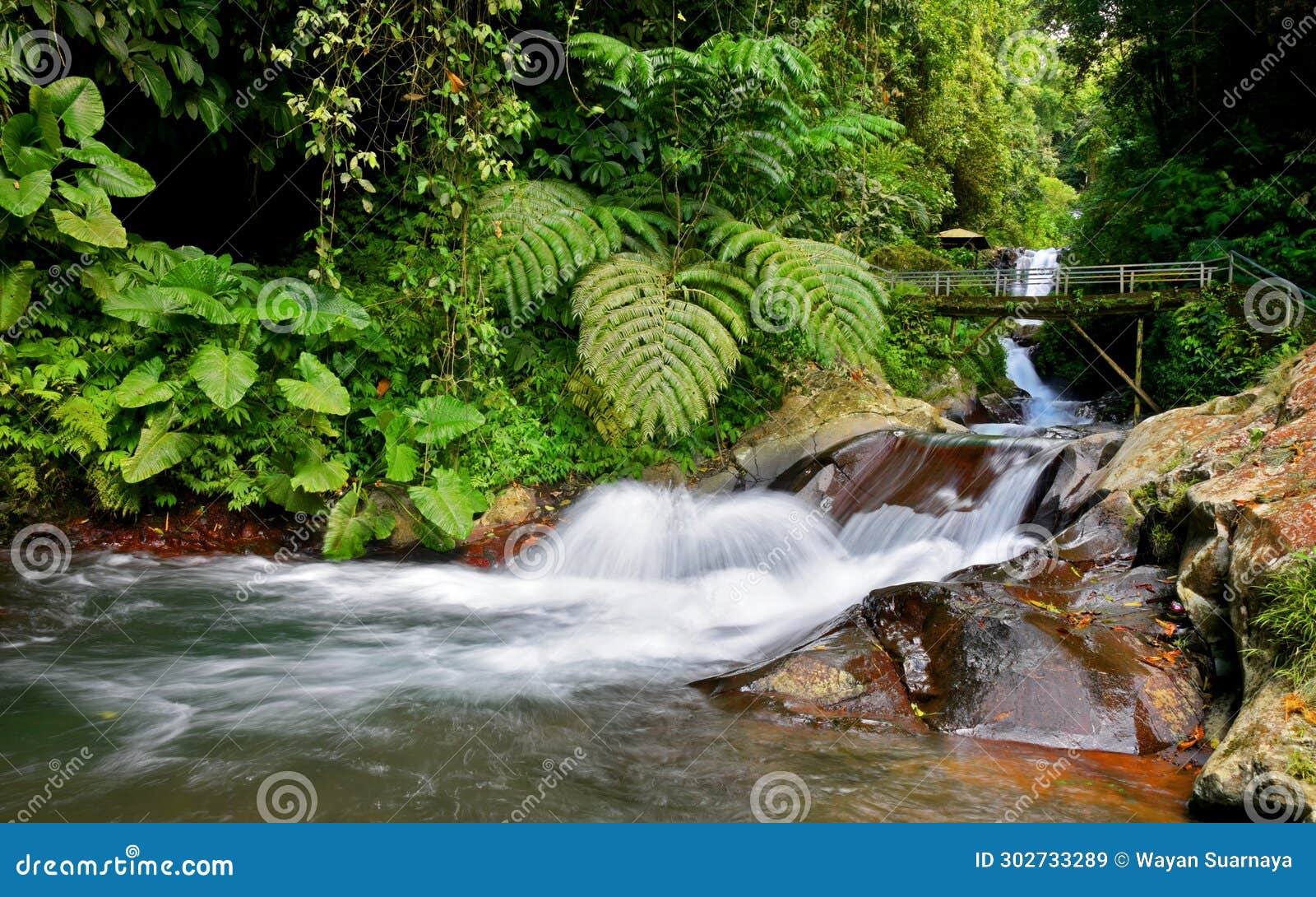 Gitgit Waterfall at Singaraja Regency of Bali - Indonesia Stock Image ...