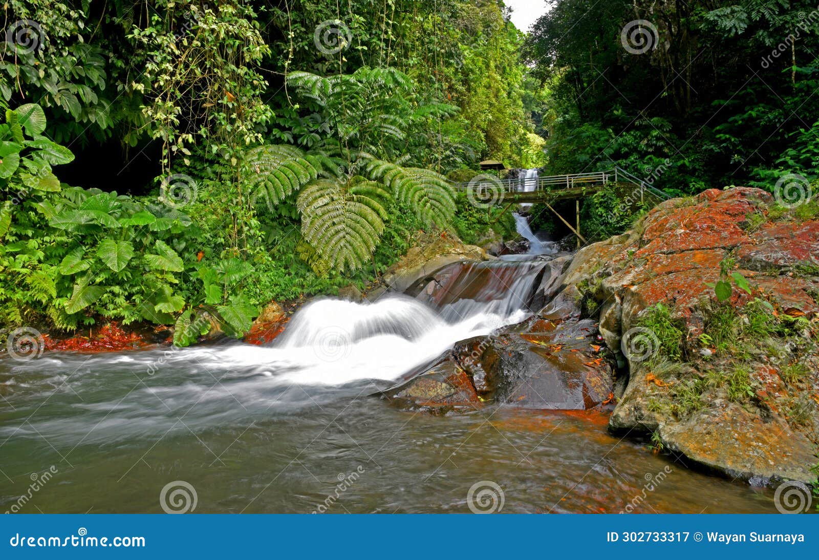 Gitgit Waterfall at Singaraja Regency of Bali - Indonesia Stock Image ...