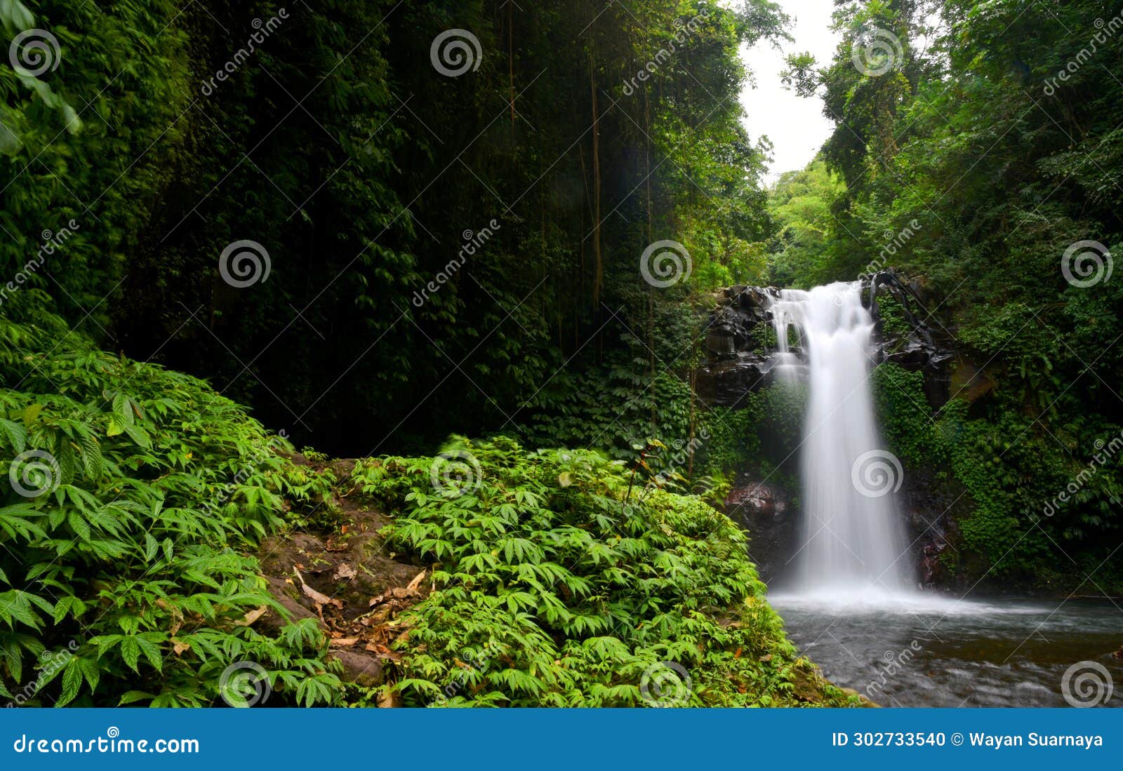 Gitgit Waterfall at Singaraja Regency of Bali - Indonesia Stock Photo ...