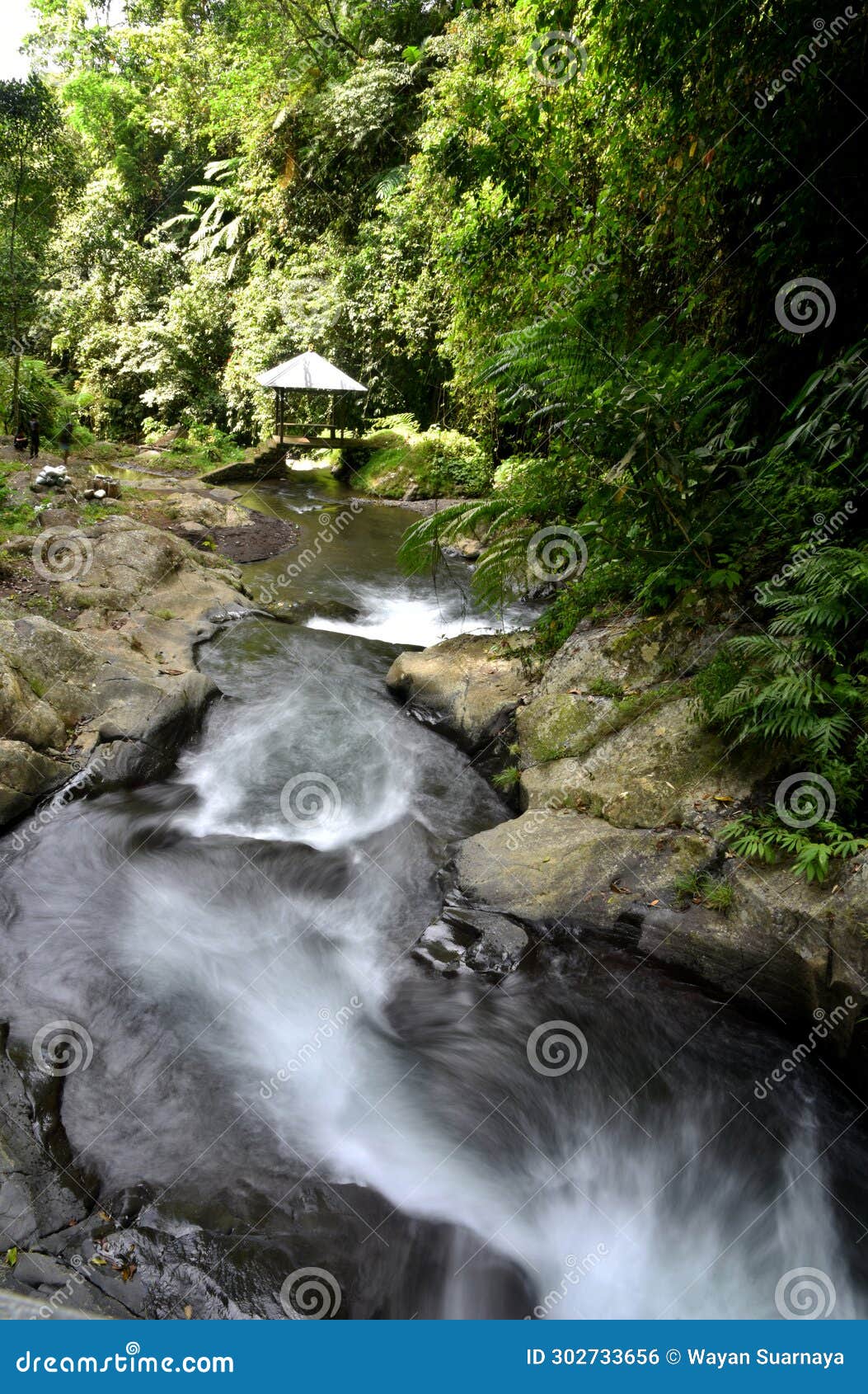 Gitgit Waterfall at Singaraja Regency of Bali - Indonesia Stock Photo ...