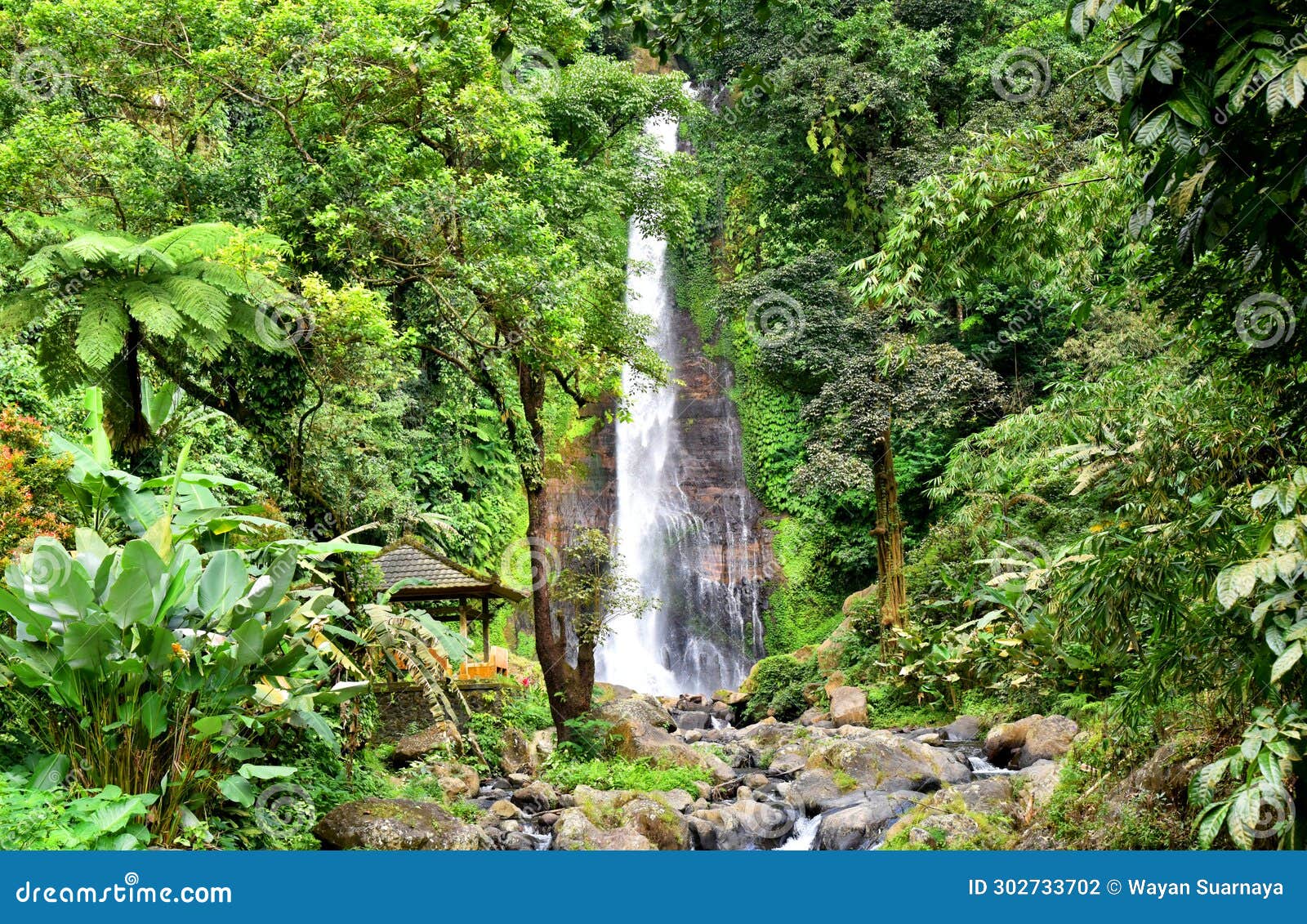 Gitgit Waterfall at Singaraja Regency of Bali - Indonesia Stock Photo ...