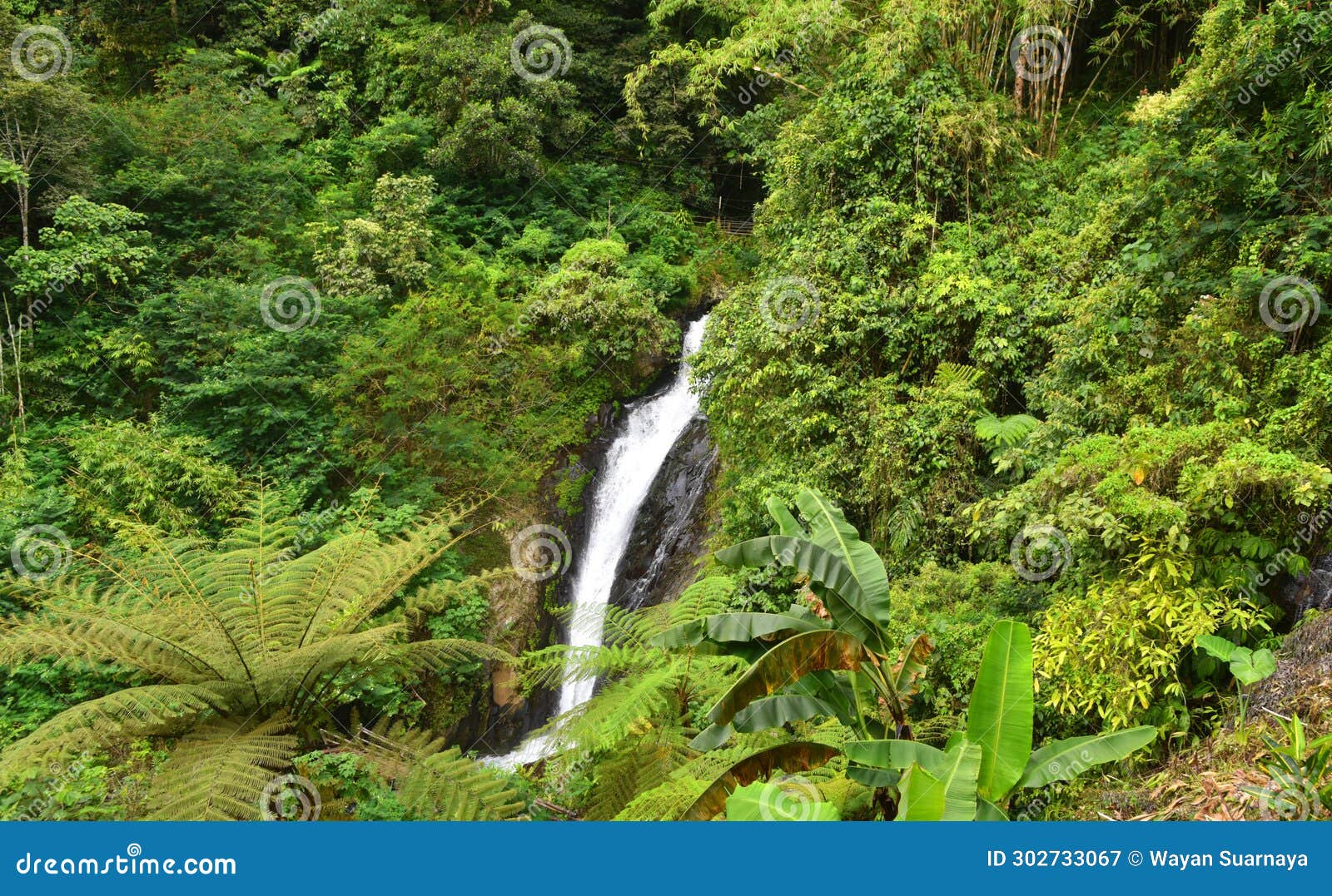 Gitgit Waterfall at Singaraja Regency of Bali - Indonesia Stock Image ...
