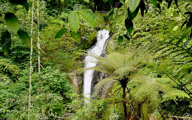 Gitgit Waterfall at Singaraja Regency of Bali - Indonesia Stock Image ... Gitgit Waterfall at Singaraja Regency of Bali - Indonesia Stock Image ...