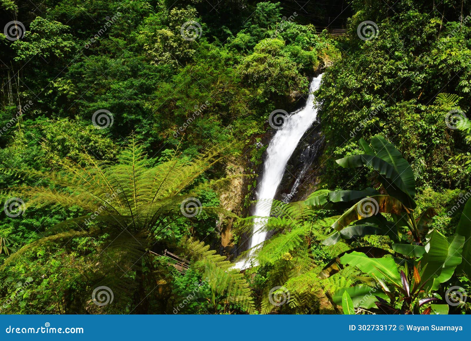 Gitgit Waterfall at Singaraja Regency of Bali - Indonesia Stock Photo ...