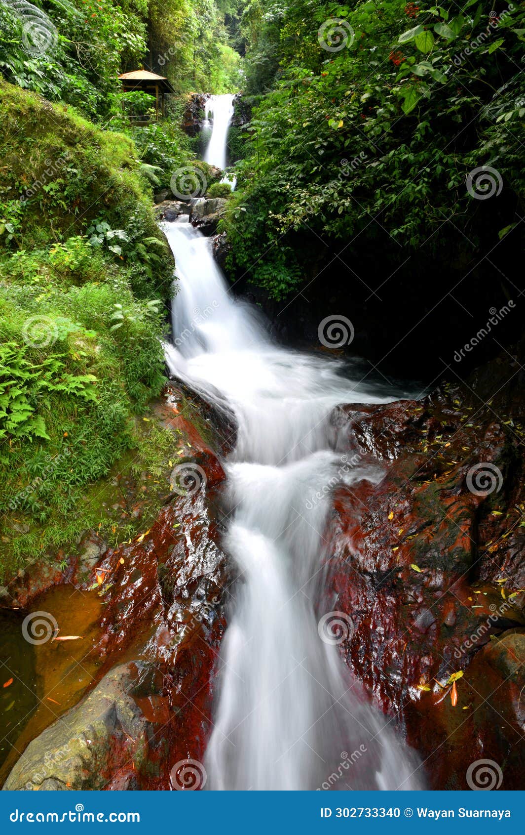 Gitgit Waterfall at Singaraja Regency of Bali - Indonesia Stock Photo ...