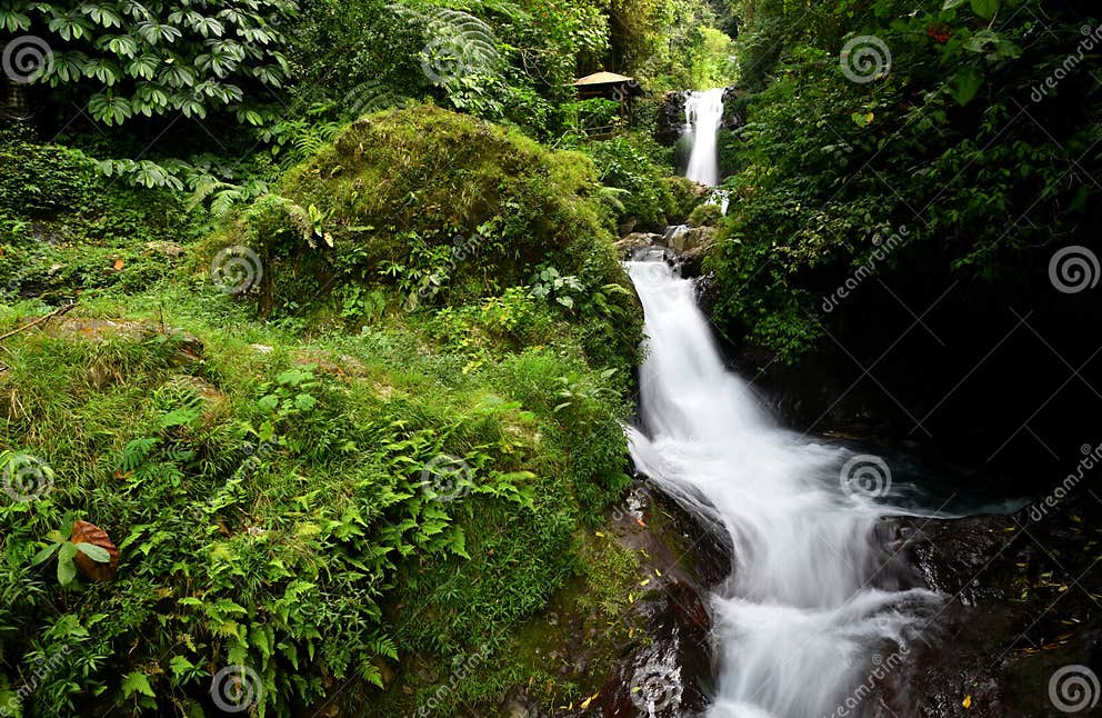 Gitgit Waterfall at Singaraja Regency of Bali - Indonesia Stock Photo ... Gitgit Waterfall at Singaraja Regency of Bali - Indonesia Stock Photo ...