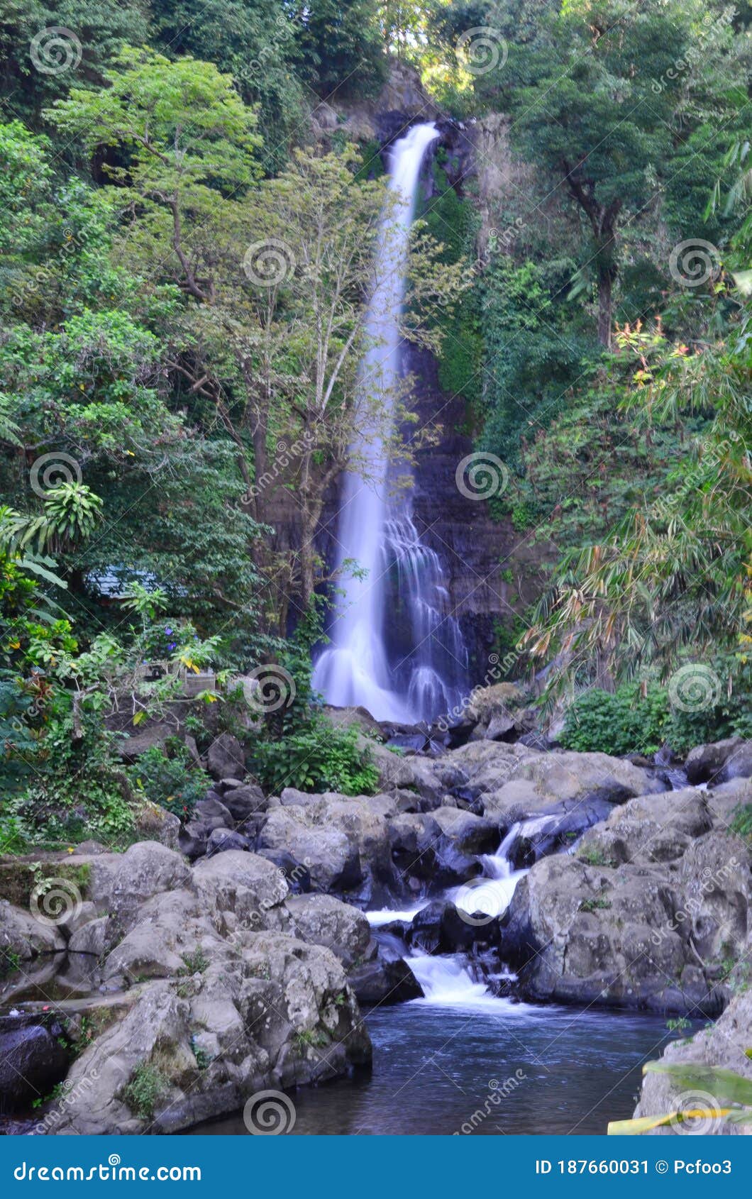 Gitgit Waterfall is a Waterfall on Bali, Indonesia. Stock Image - Image ...