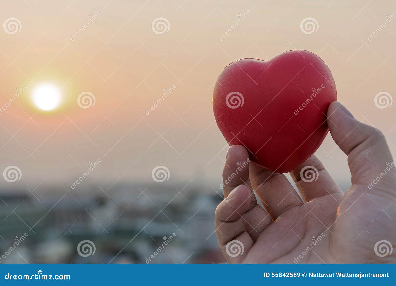 Give the Heart of Love on Hand Stock Image - Image of hope, shape: 55842589