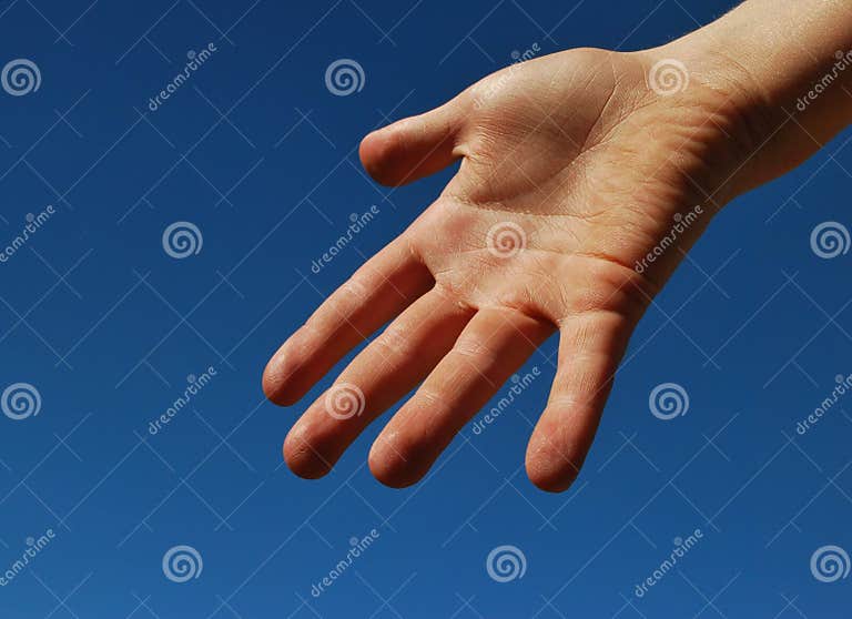 Give me a hand stock image. Image of young, palm, girl - 6190367