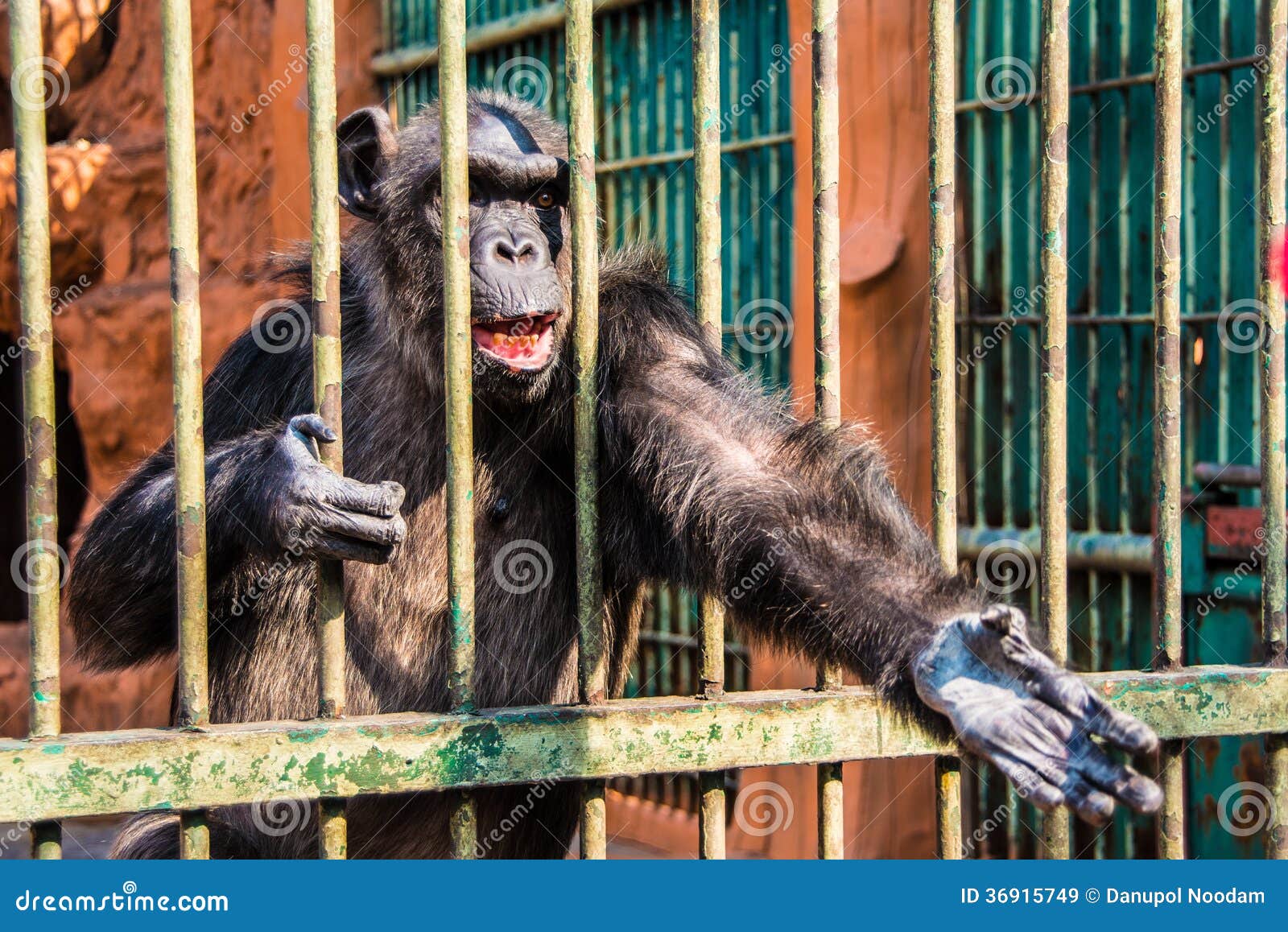 Give me stock image. Image of wood, hand, please, asia - 36915749