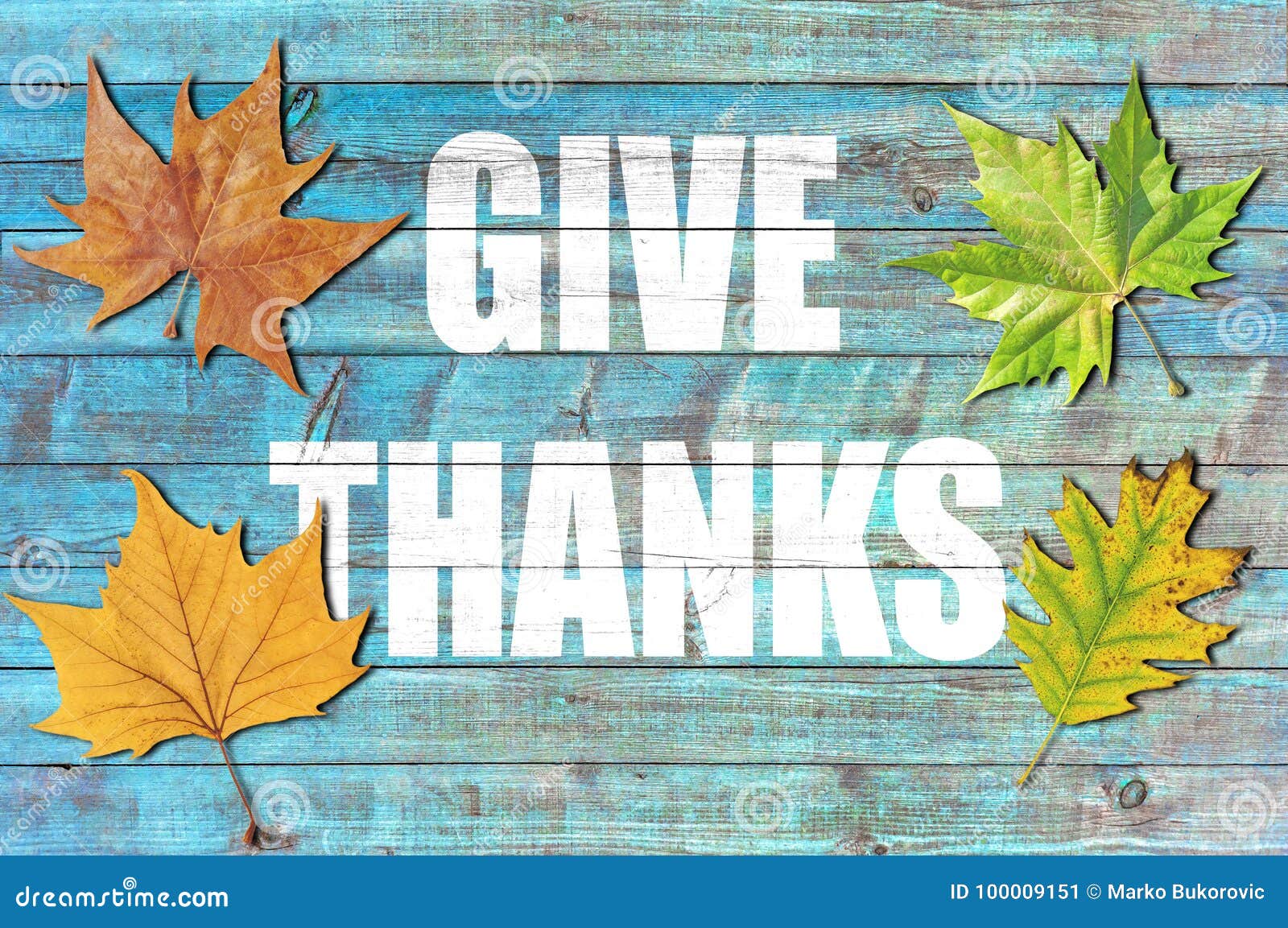 Give Thanks on Blue Wooden Background Stock Illustration - Illustration ...