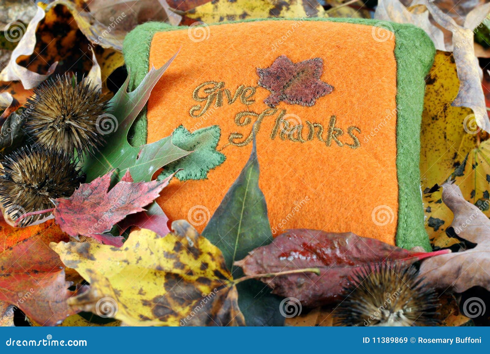 Give Thanks Pillow in Fall Leaves Stock Image - Image of words, close ...