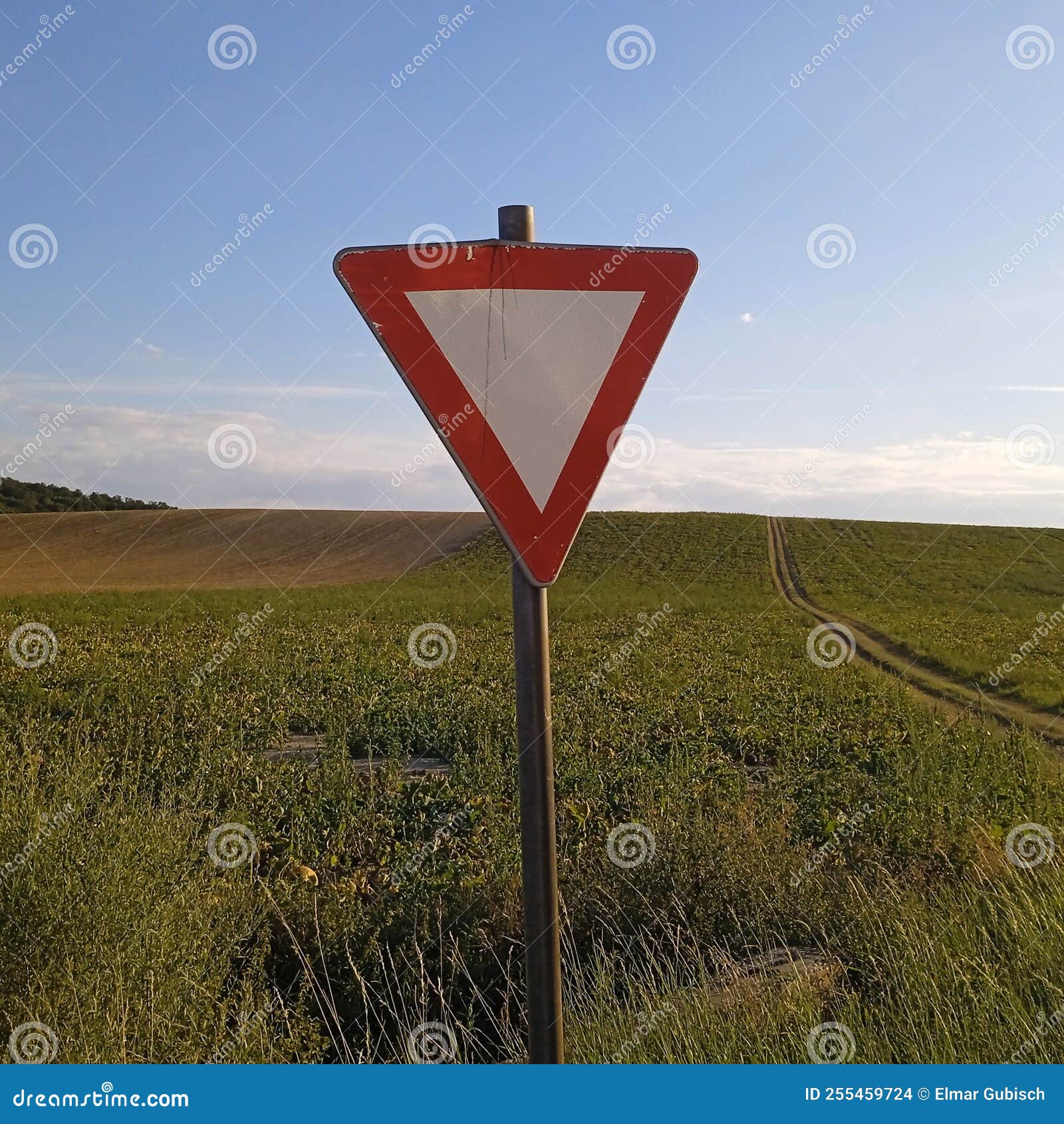 A Give Way or Yield Traffic Sign Stock Photo - Image of damage ...