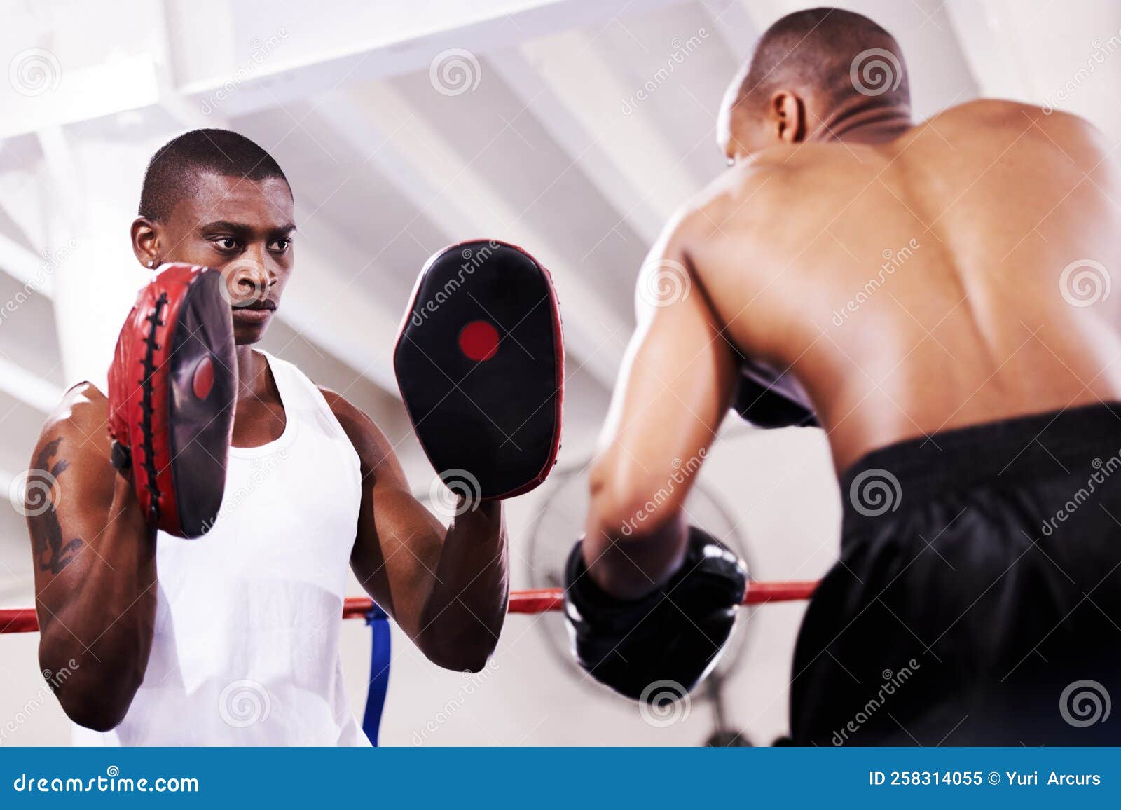 Give it Your All. a Boxer Practicing with His Sparring Partner in the ...