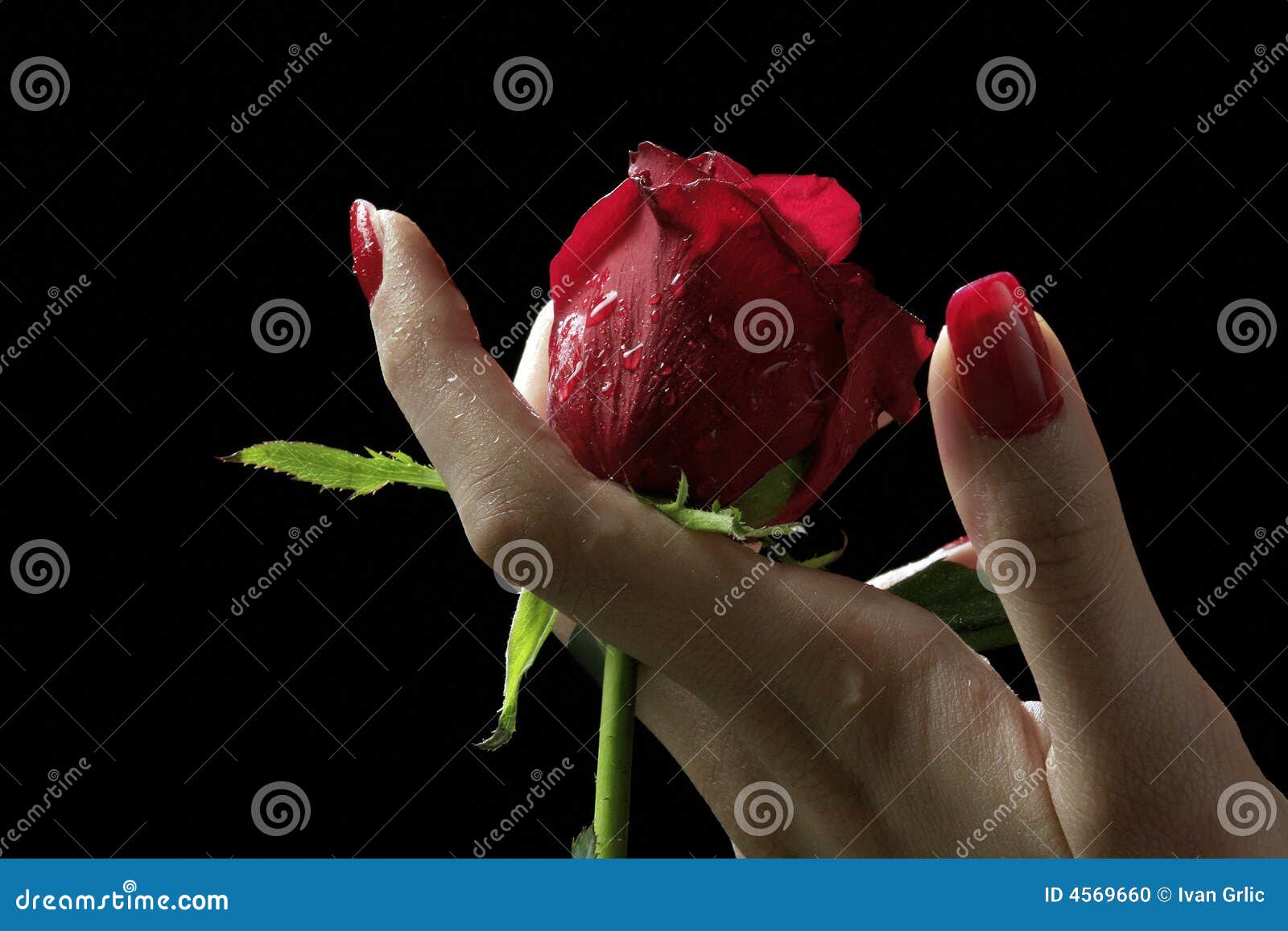 Giving stock photo. Image of close, give, holiday, beautiful - 4569660