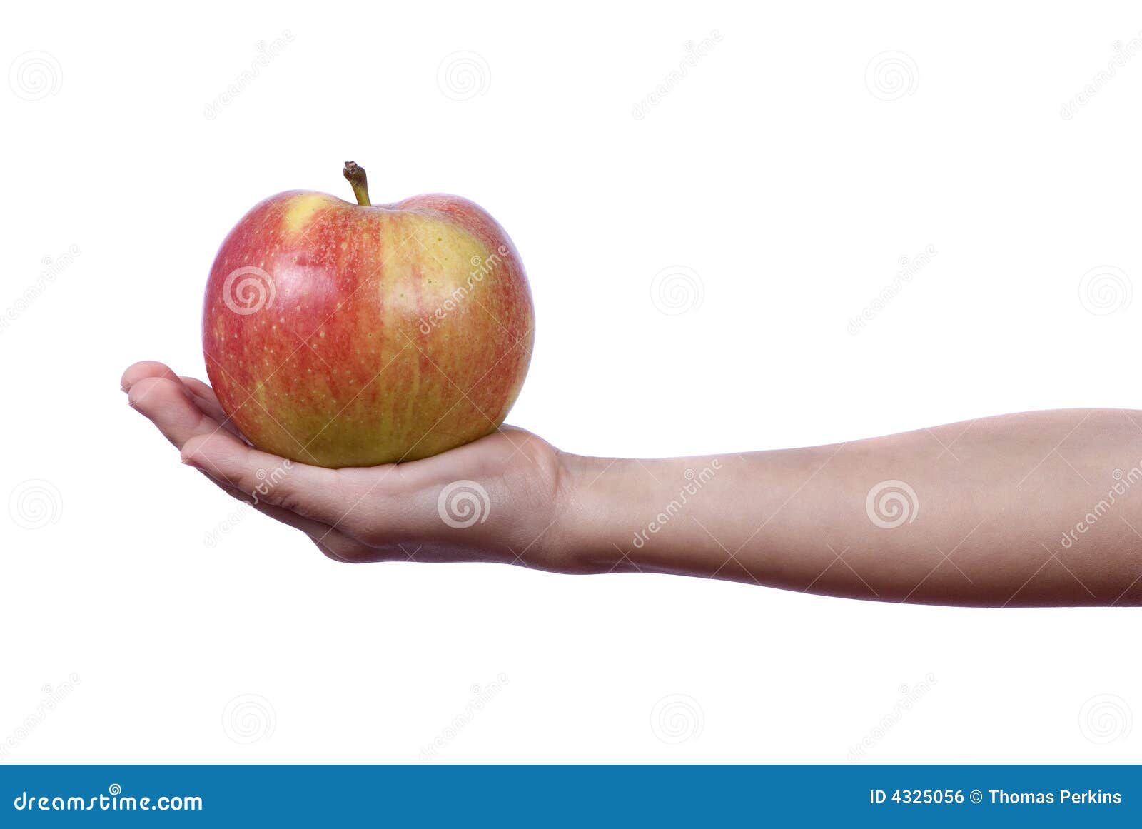 Giving an apple stock photo. Image of teacher, hand, open - 4325056