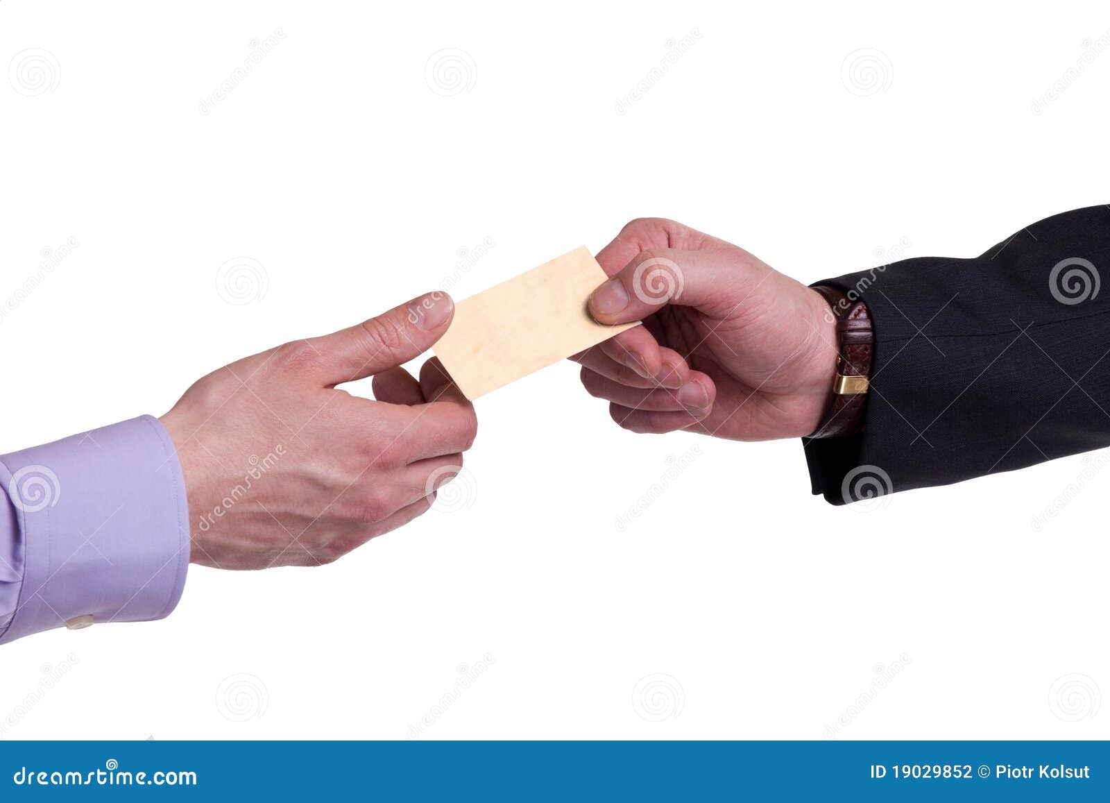 Giving business cards stock photo. Image of person, gesture - 19029852