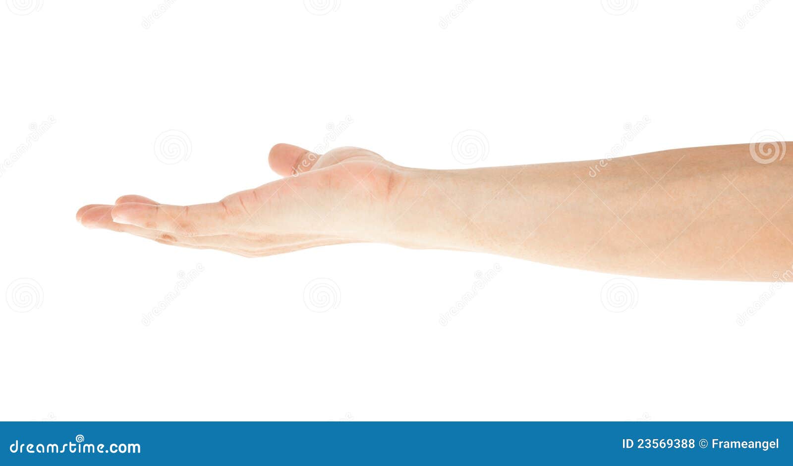 Giving hand stock photo. Image of female, hand, asking - 23569388