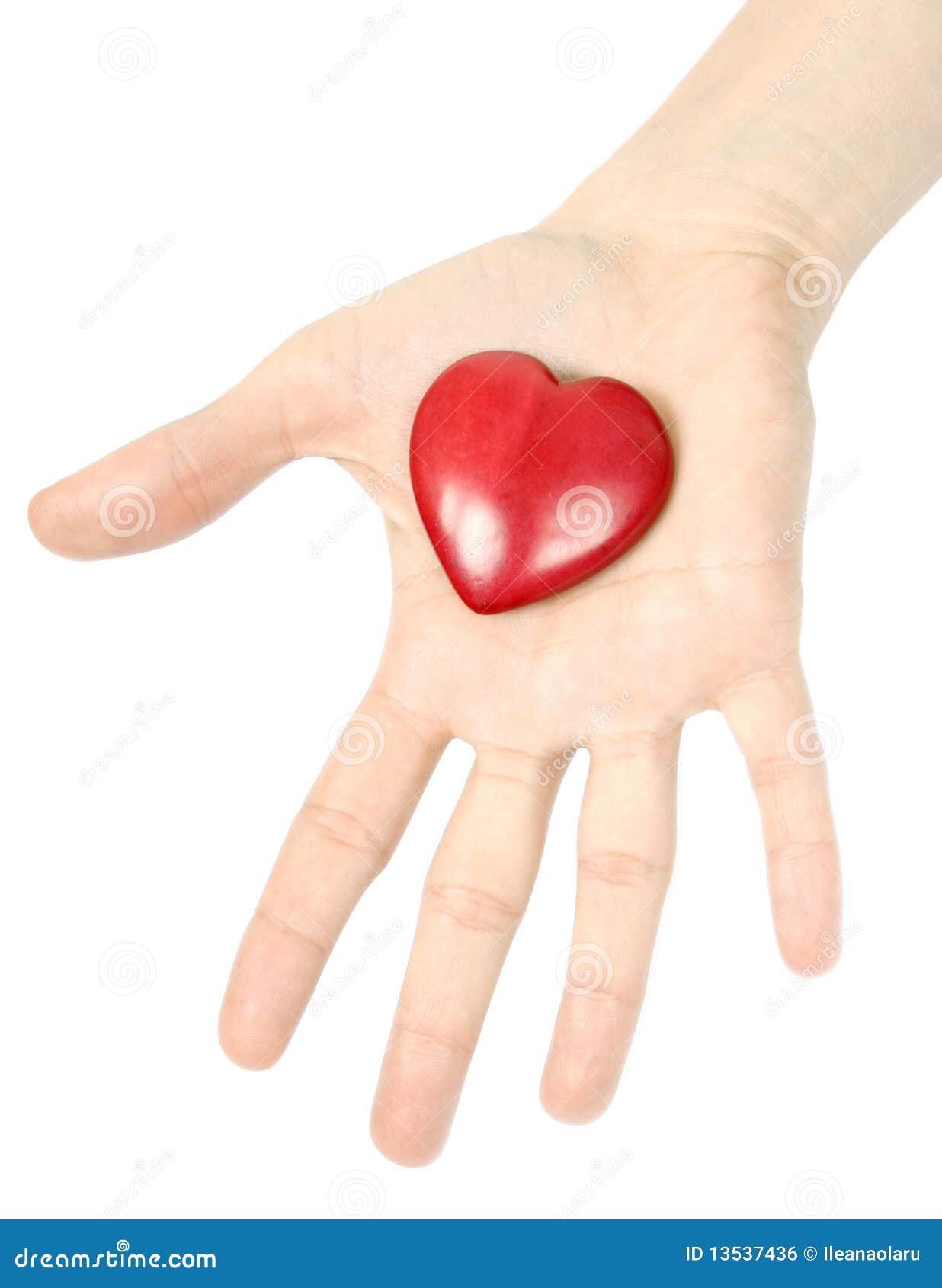 Giving heart stock photo. Image of care, help, hand, healthy - 13537436