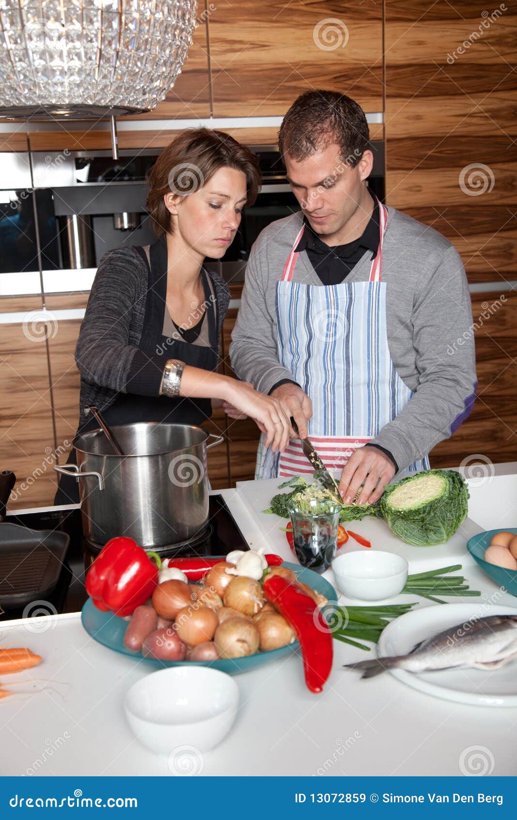 Giving instructions stock image. Image of cook, beauty - 13072859
