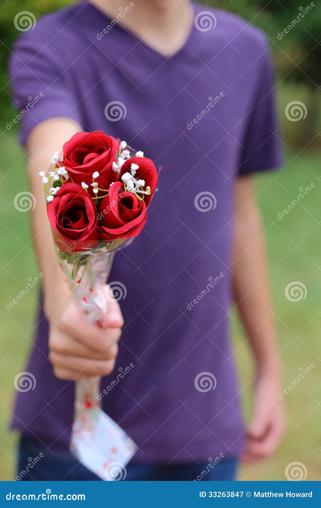 Giving Roses stock image. Image of dress, passion, hand - 33263847