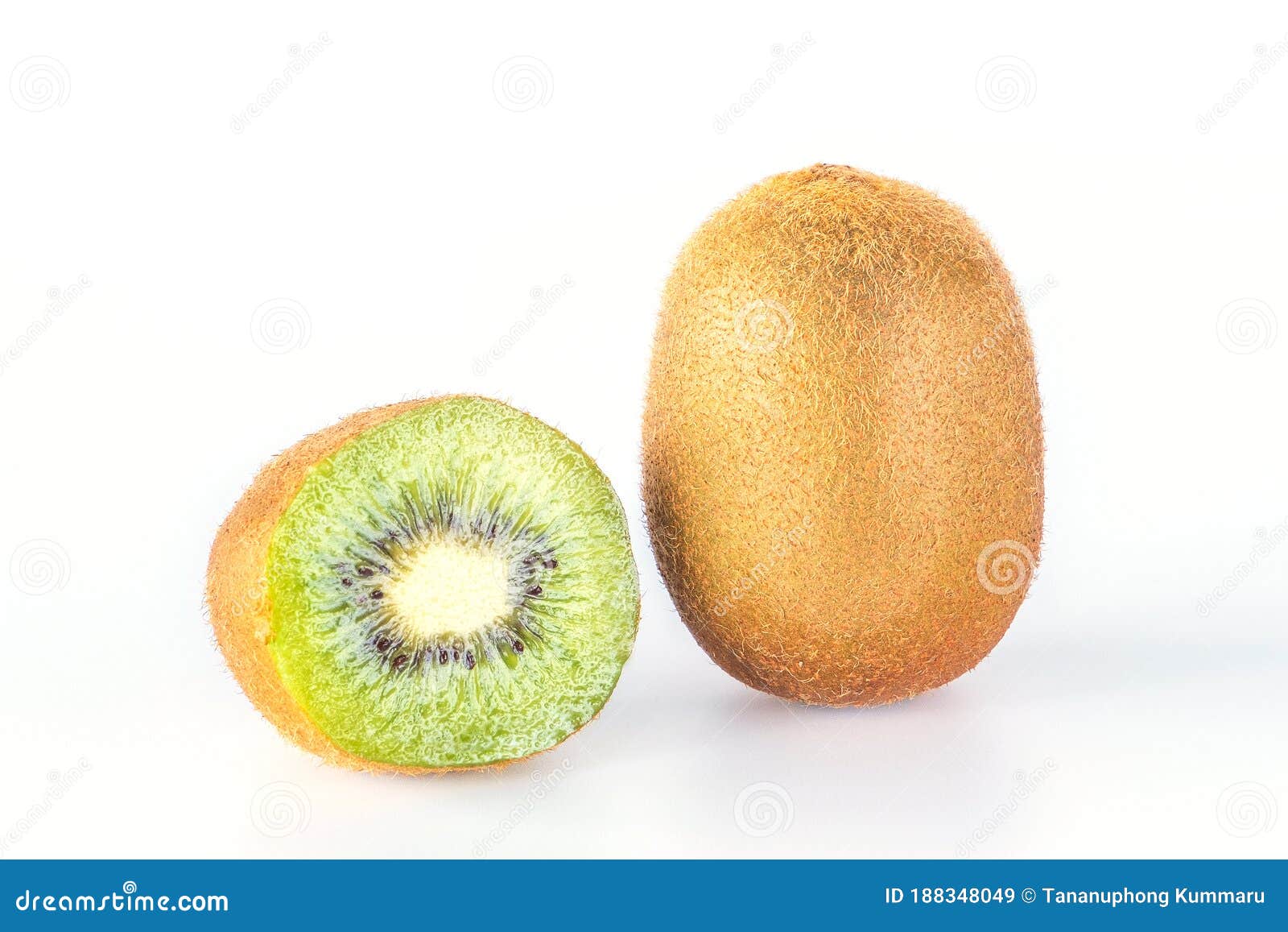 Giwi fruit slice isolated stock image. Image of color - 188348049