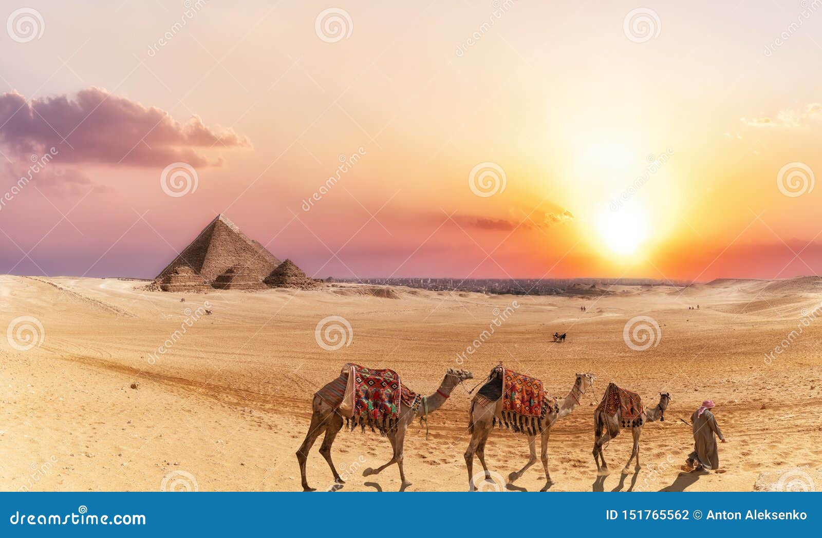 Giza Desert Scenery with Pyramids and Camels at Sunset Stock Photo ...
