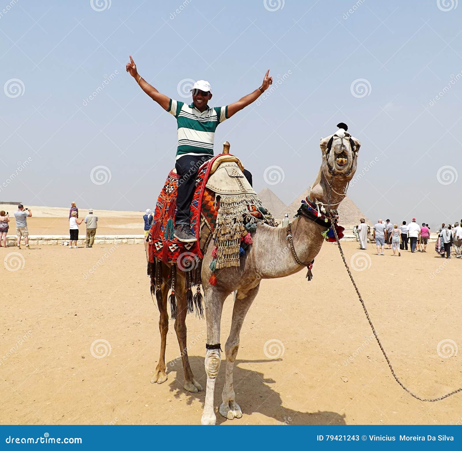 GIZA, EGYPT - MAY 15, 2013: Tourist Rides on a Camel for the First Time ...