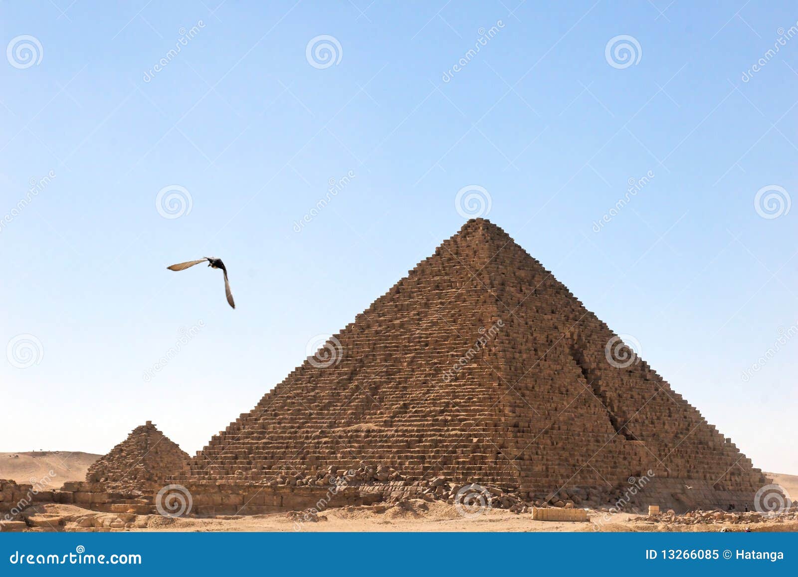Giza Pyramid with Flying Bird Stock Image - Image of shape ...
