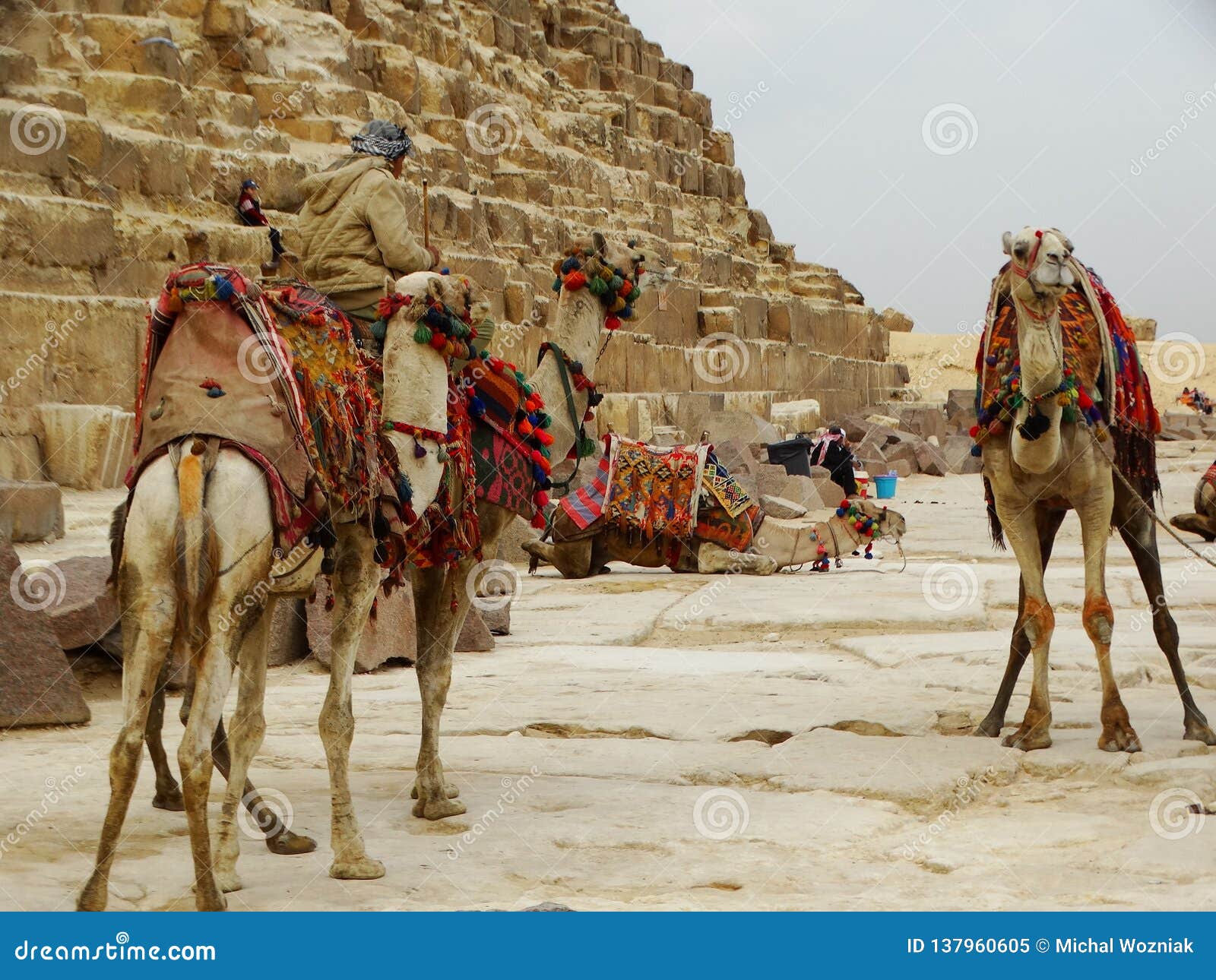 Giza Pyramids, Egypt editorial image. Image of ancient - 137960605