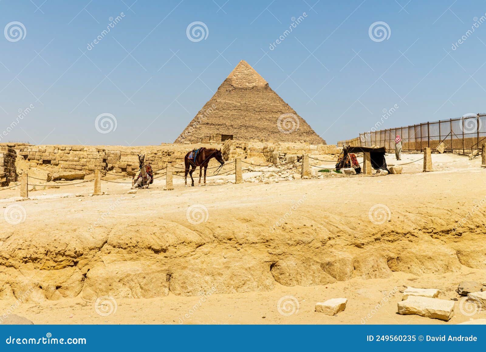 Giza Pyramids, Egypt stock image. Image of temples, camels - 249560235