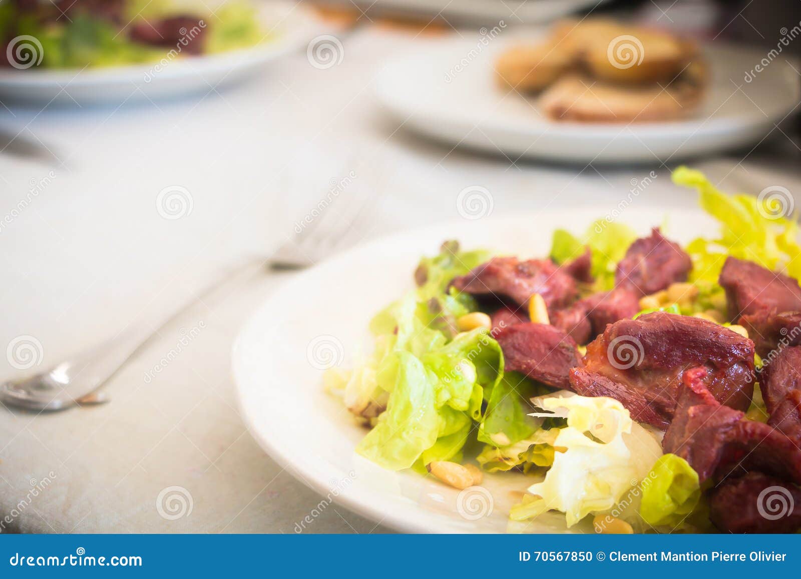 Gizzard Plate with Salad and Home Bread Stock Photo - Image of ...