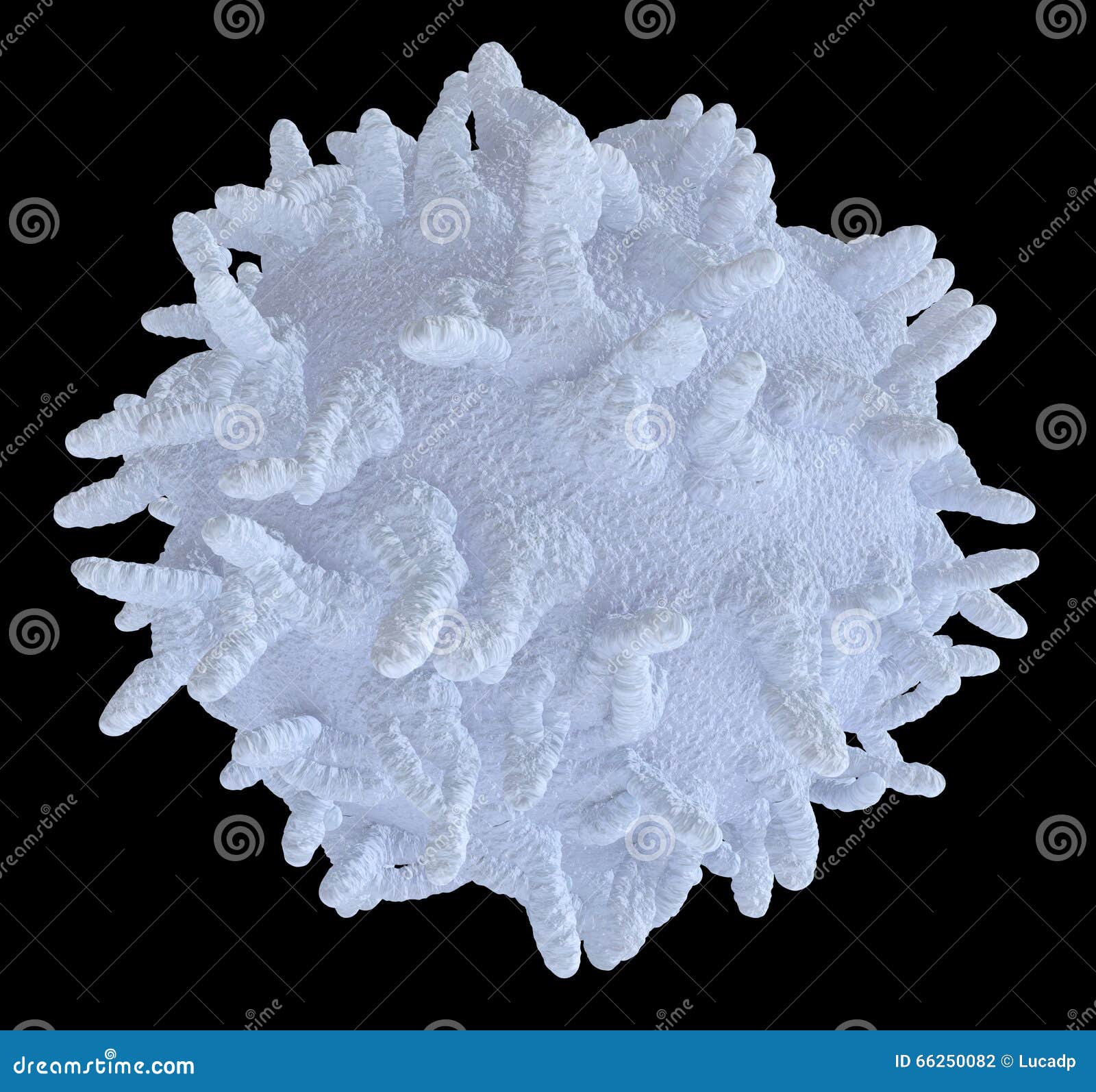 Glóbulo branco ilustração stock. Ilustração de medicina - 66250082