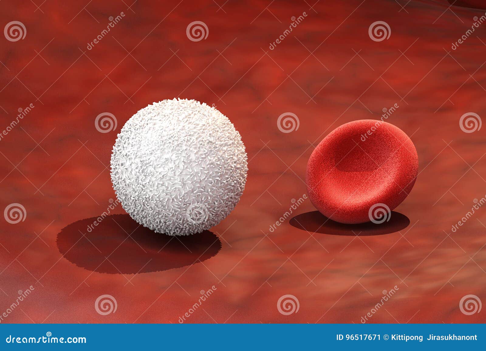 Glóbulo Branco Com Glóbulo Vermelho Ilustração Stock - Ilustração de ...