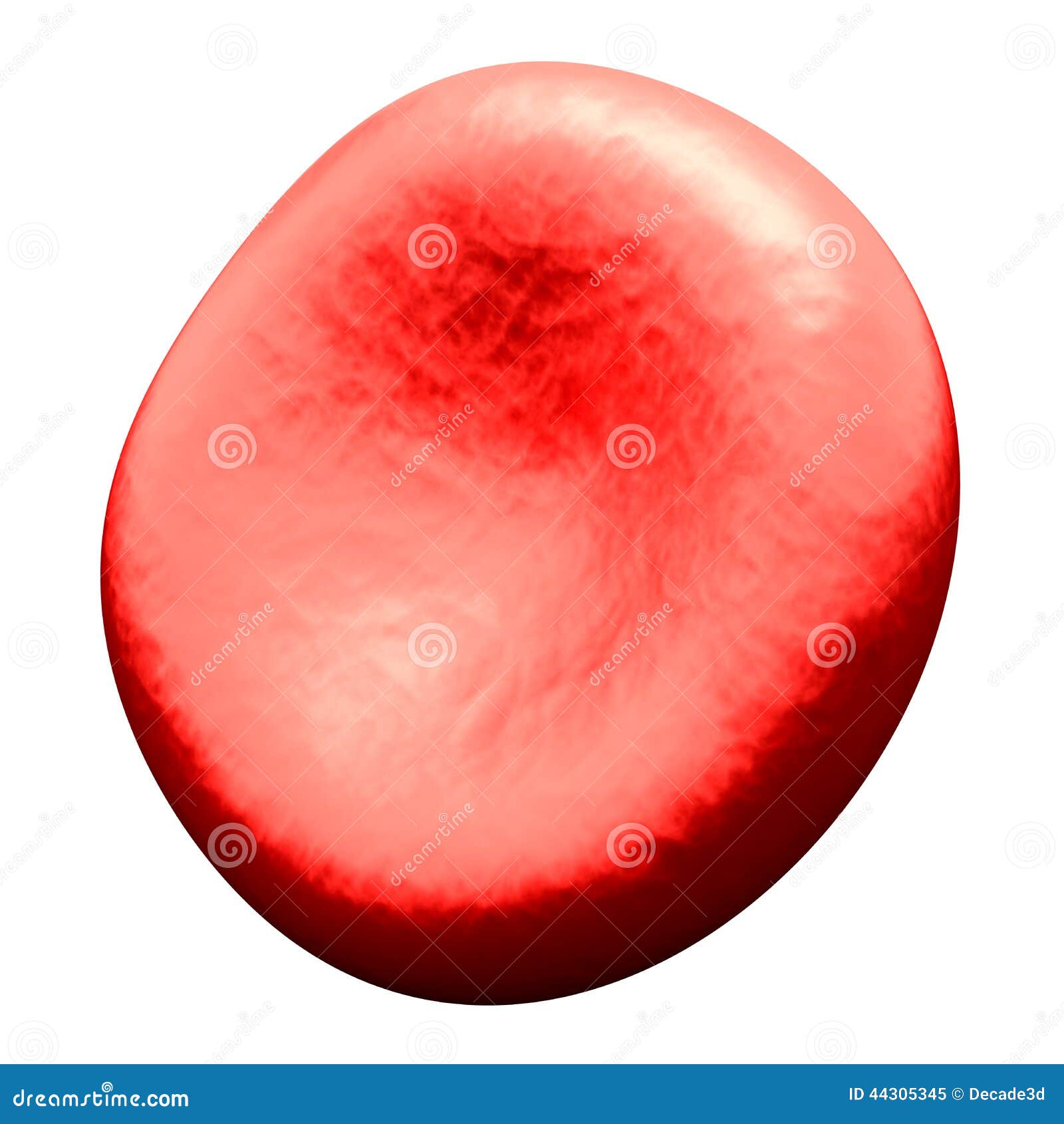 Glóbulo Rojo Un Glóbulo Rojo Está Rodeado De Glóbulos Rojos.