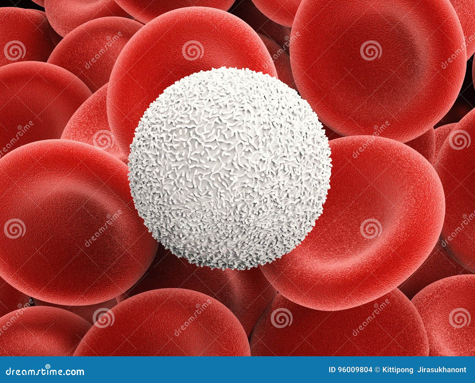 Glóbulos Brancos Com Glóbulos Vermelhos Ilustração Stock - Ilustração ...