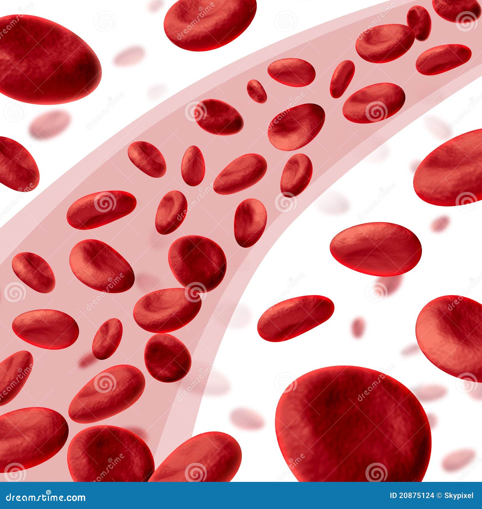 Glóbulos vermelhos ilustração stock. Ilustração de plasma - 20875124