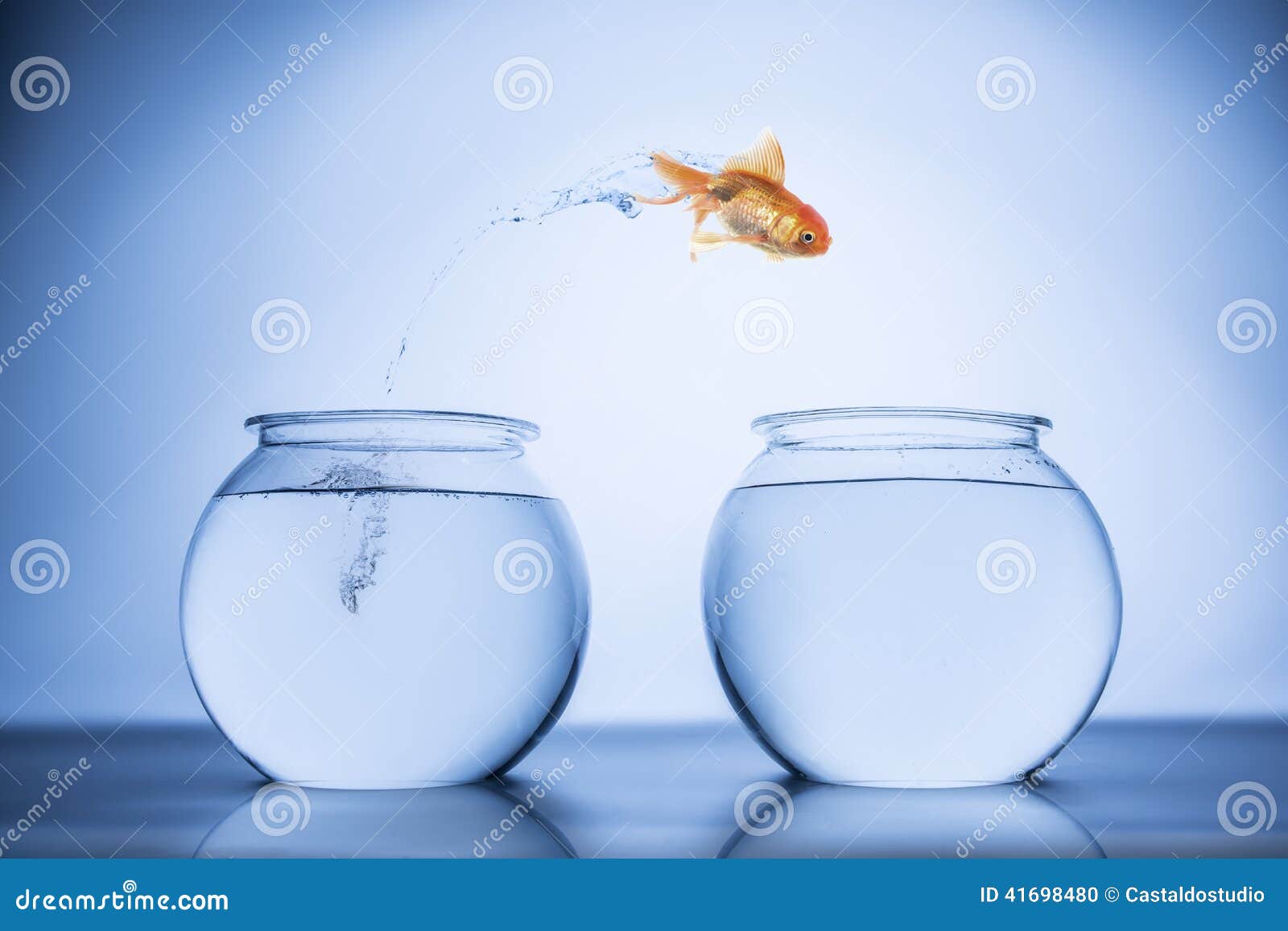 Glücklich Springende Fische Stockfoto - Bild von surreal, gold: 41698480