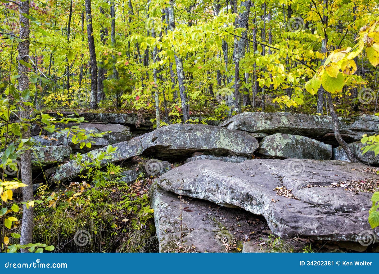 Glacial Rock Formation at Banning State Park Stock Image - Image of ...