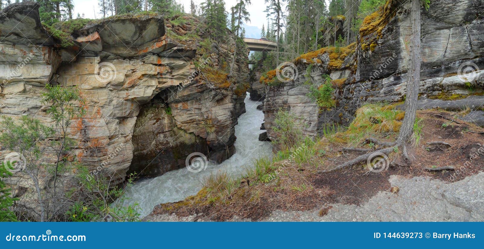 The Glacial Runoff Makes Its Way through the Deep Narrow Gorge Stock ...