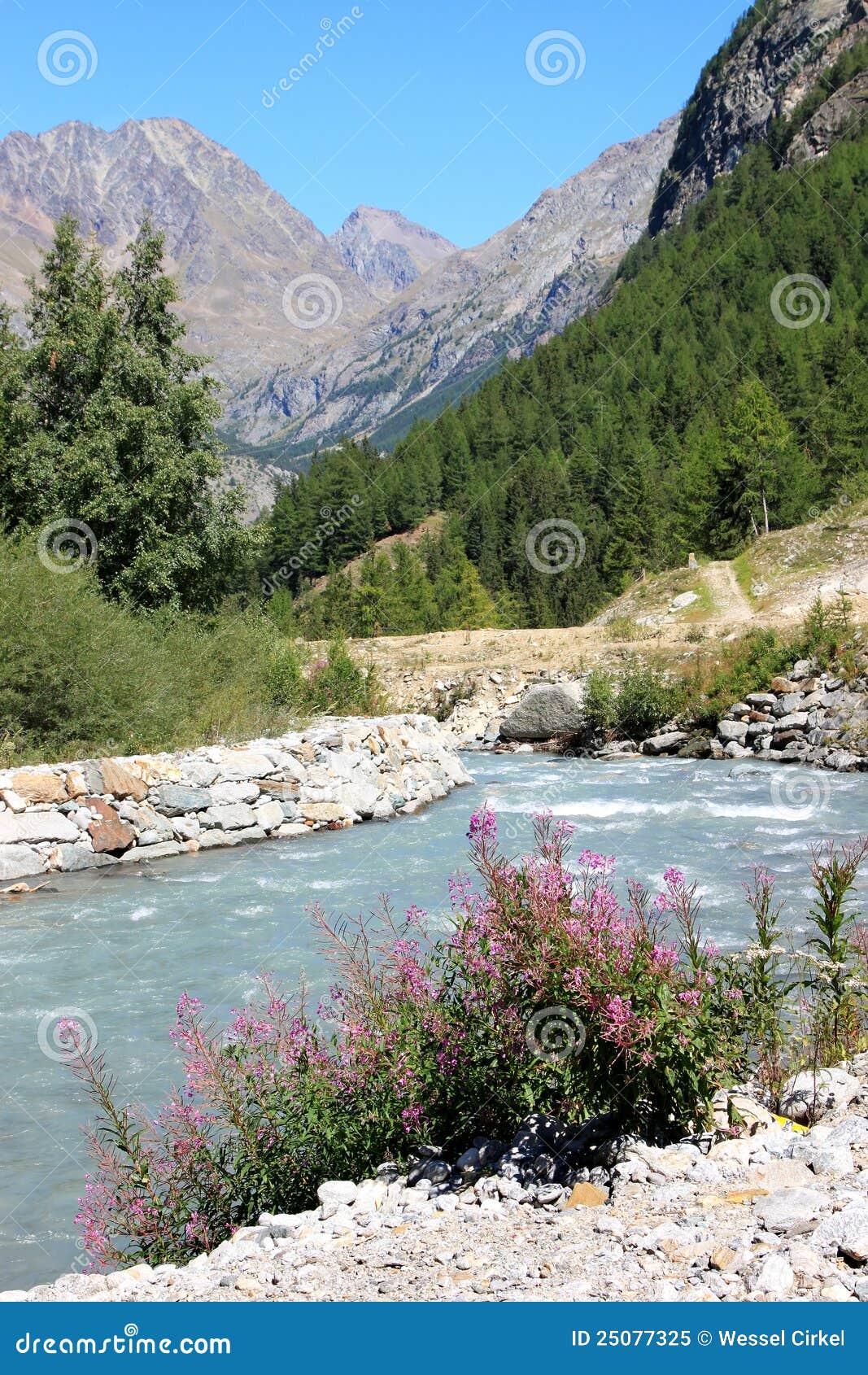 Glacial Valley of Valnontey in the Italian Alps Stock Image - Image of ...
