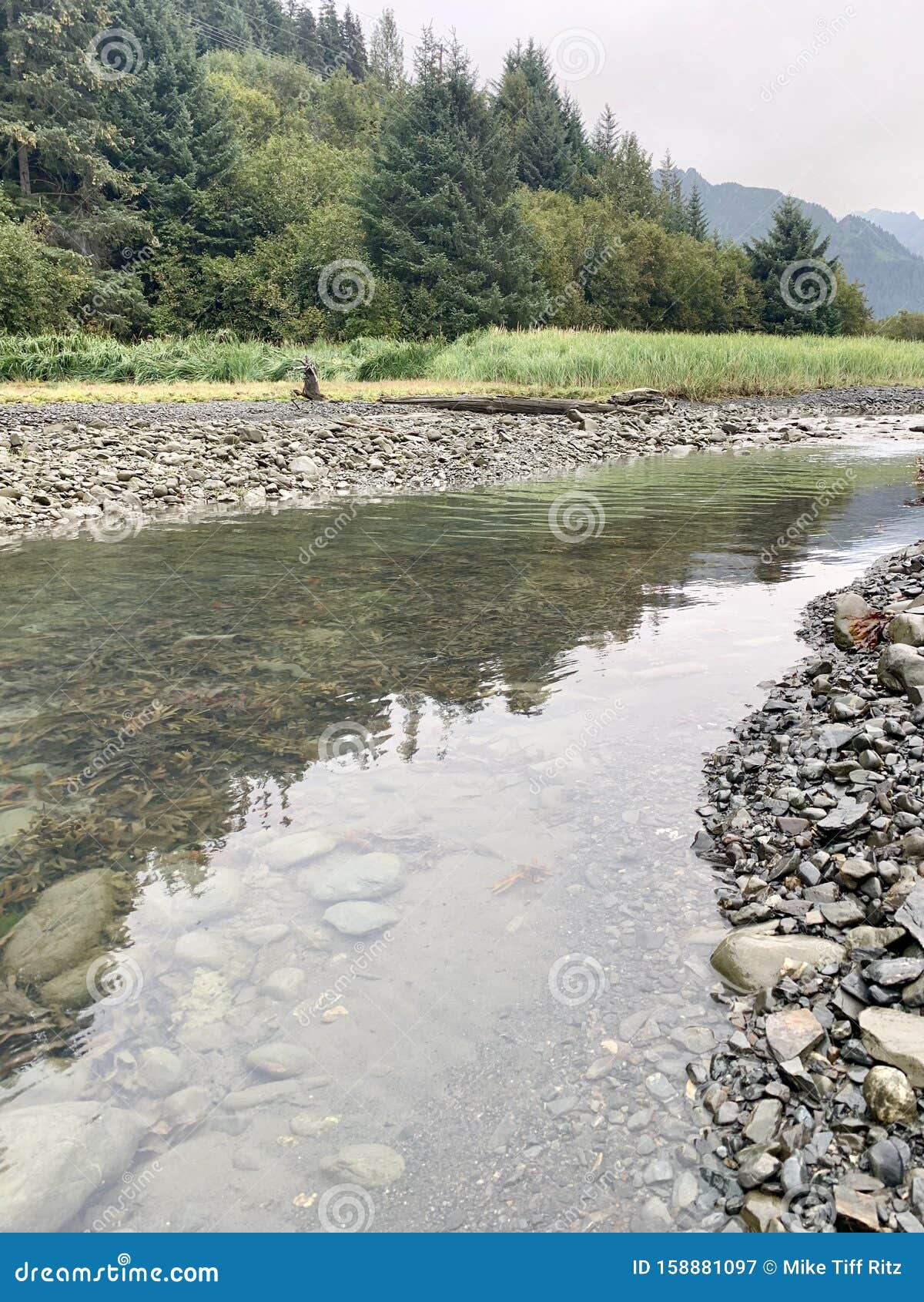 Glacier Fed River in Alaska Stock Image - Image of river, scenic: 158881097