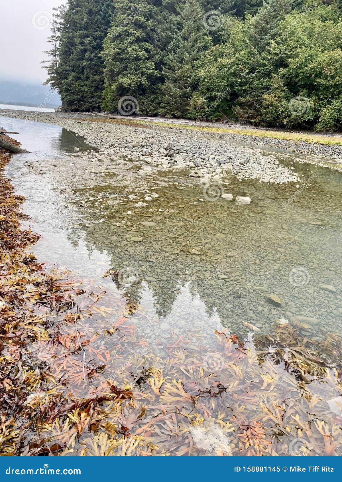 Glacier Fed River in Alaska Stock Image - Image of stream, water: 158881145