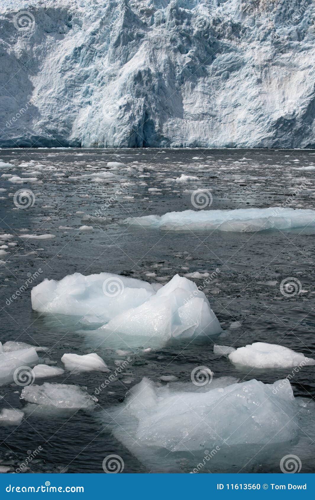 Glacier ice in ocean stock photo. Image of outside, float - 11613560