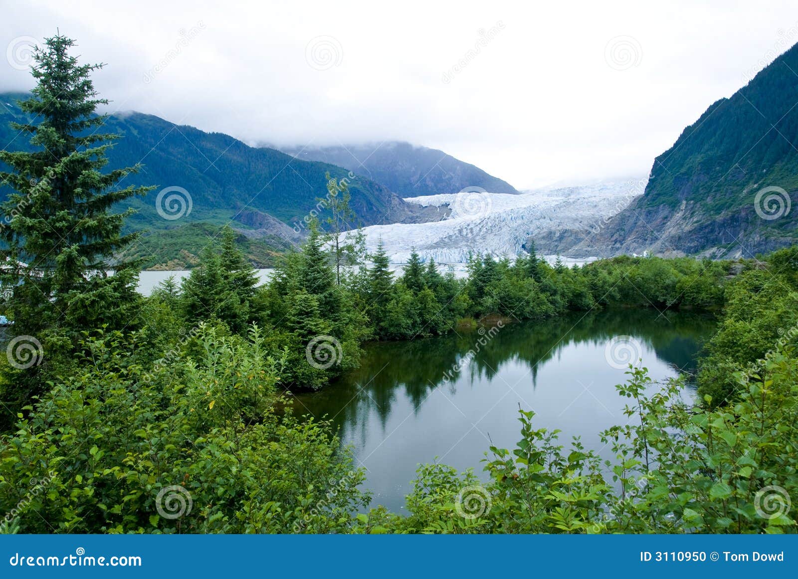 Juneau, Alaska: Glacier Gardens Is A Rainforest Botanical Garden In The ...