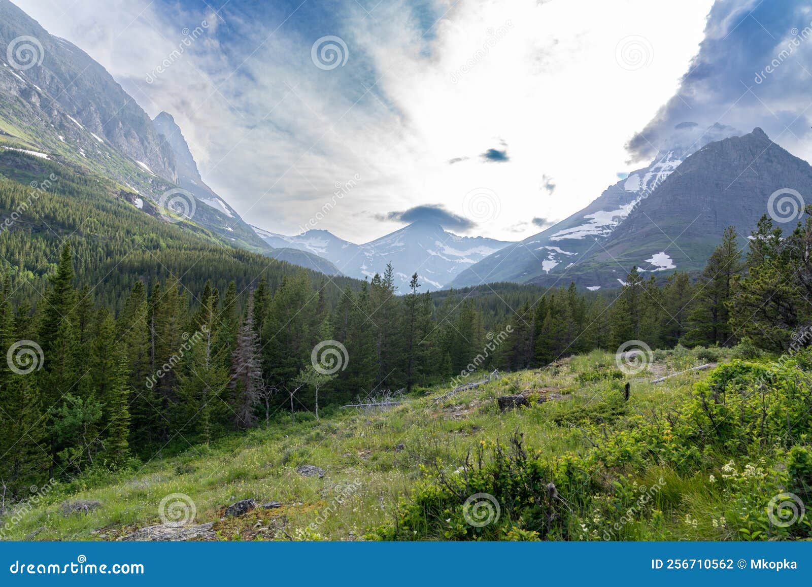 Glacier National Park, from the Swiftcurrent Pass Trail Stock Photo ...