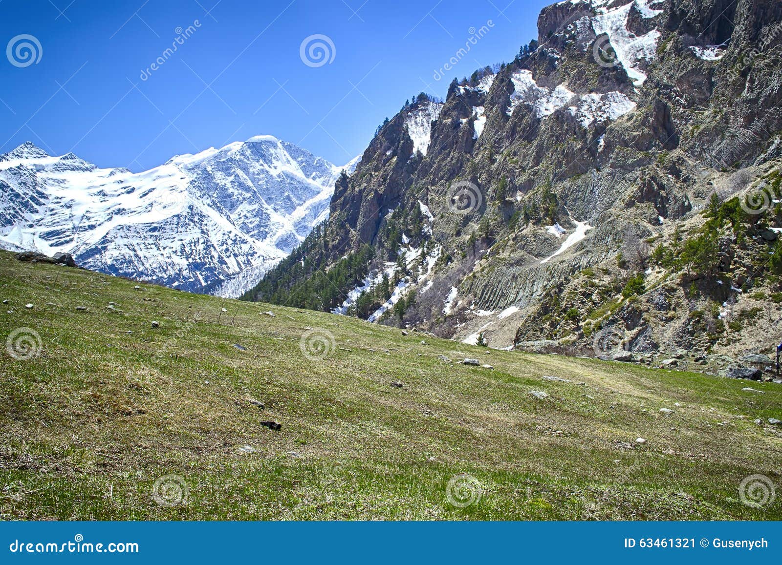 Glacier Seven and Mount Cheget Stock Image - Image of landscape, forest ...
