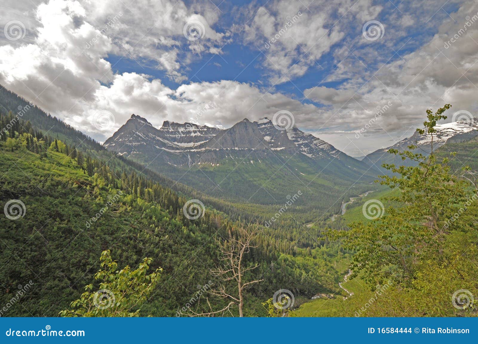 Glacier spring stock photo. Image of shrubbery, scenic - 16584444