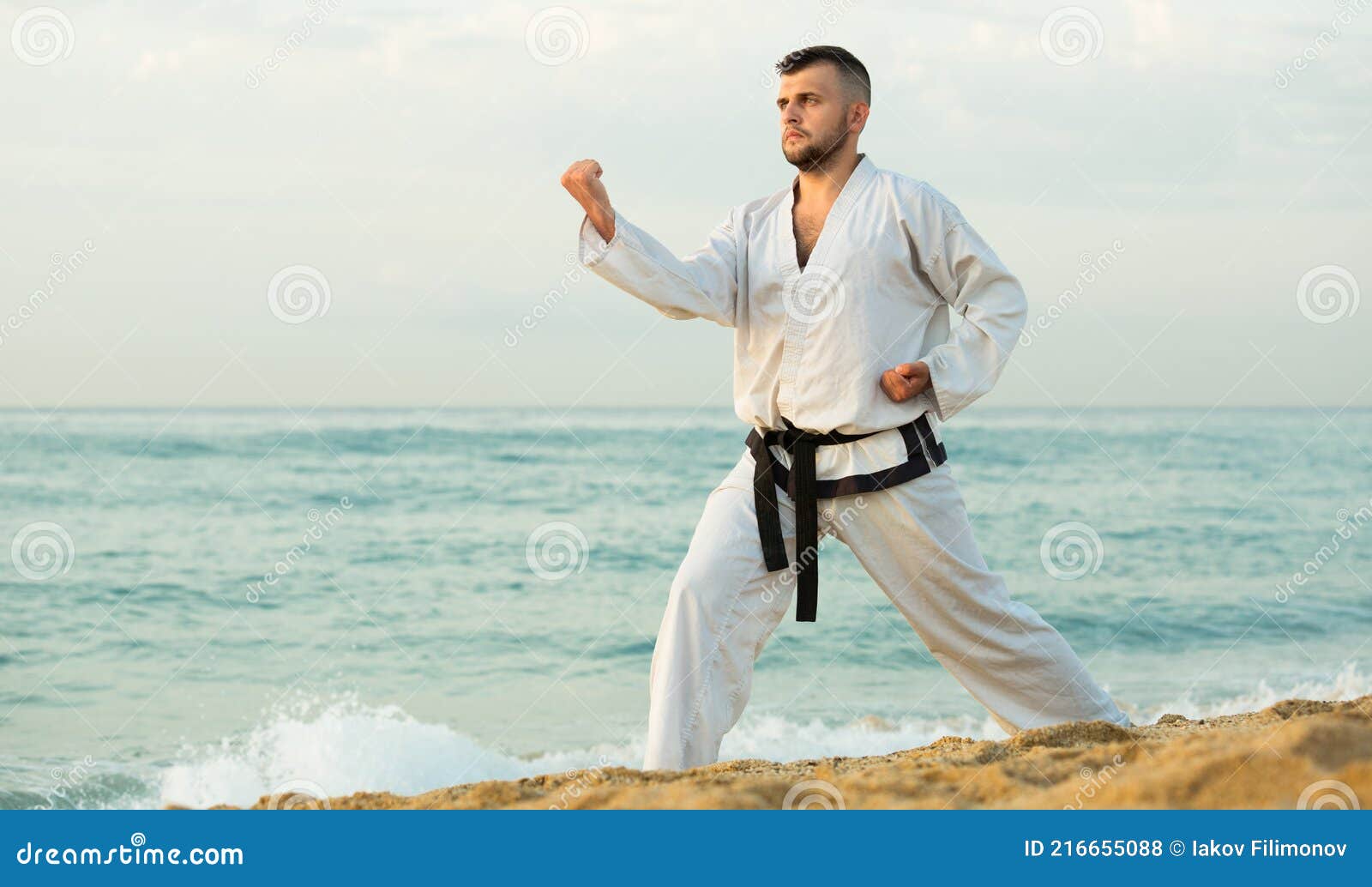 Glad Guy Practising Karate Kata Poses Stock Photo - Image of ...
