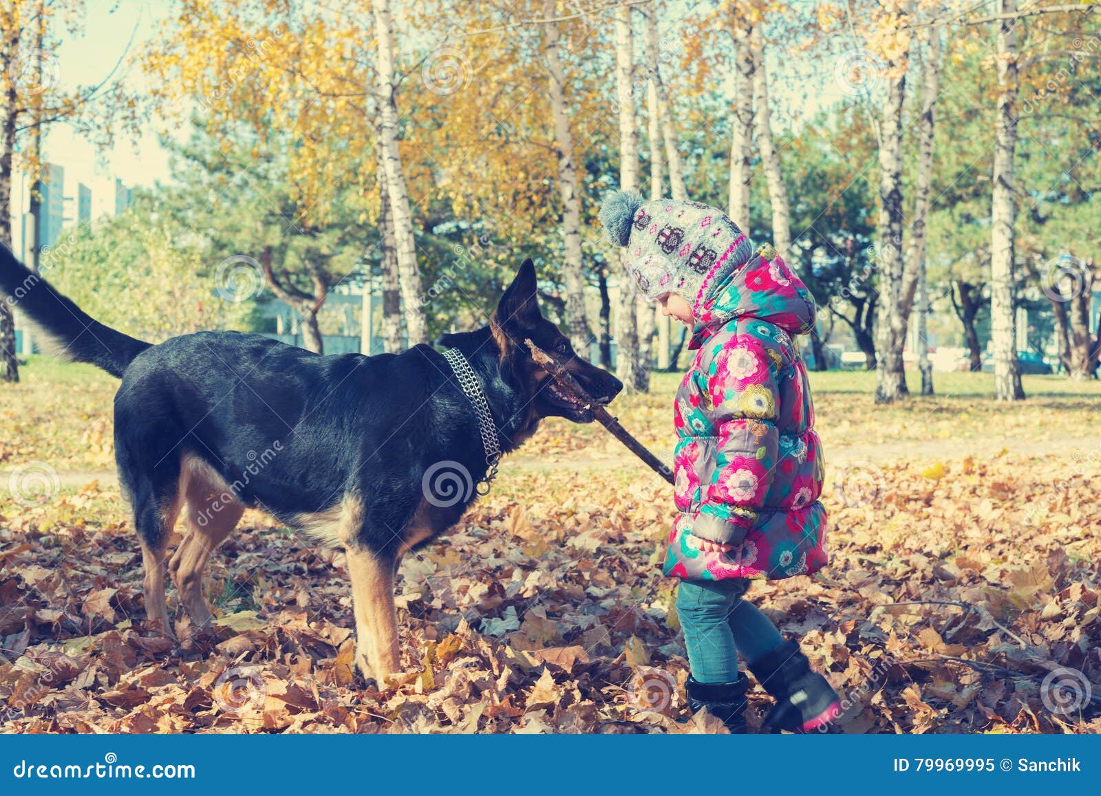 Glad Liten Flicka Och Stor Hund Fotografering för Bildbyråer - Bild av ...